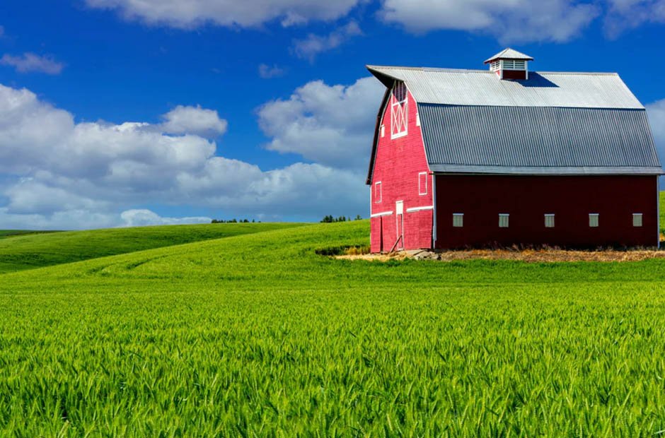 From Seed to Harvest: Utilising Barns for Crop Processing and Storage ...