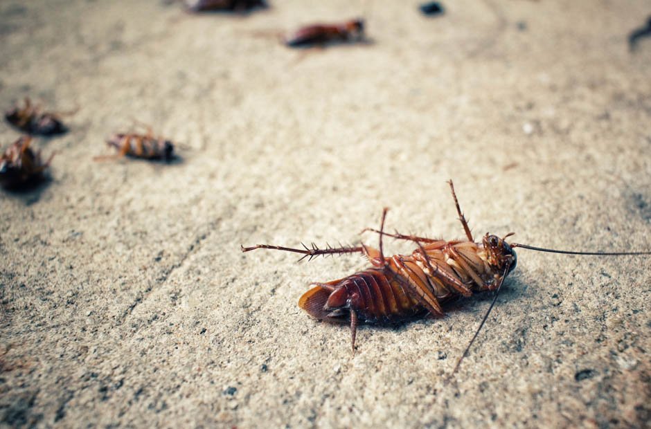 Piethis - Piethis You Like